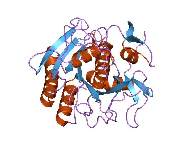 GERBU Biotechnik GmbH - your expert in bioscience