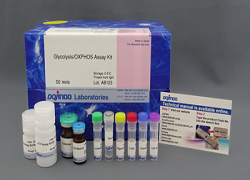 Glycolysis/OXPHOS assay kit, € 588,00