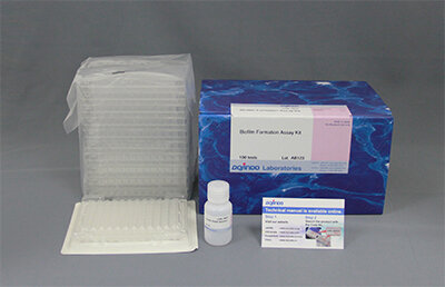 Biofilm Formation Assay Kit, € 244,00