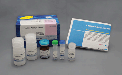 Lactate Assay Kit-WST, € 379,00